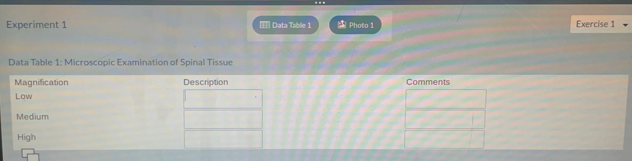 Solved Experiment 1Data Table 1: Microscopic Examination of | Chegg.com Solved Experiment 1Data Table 1: Microscopic Examination of | Chegg.com