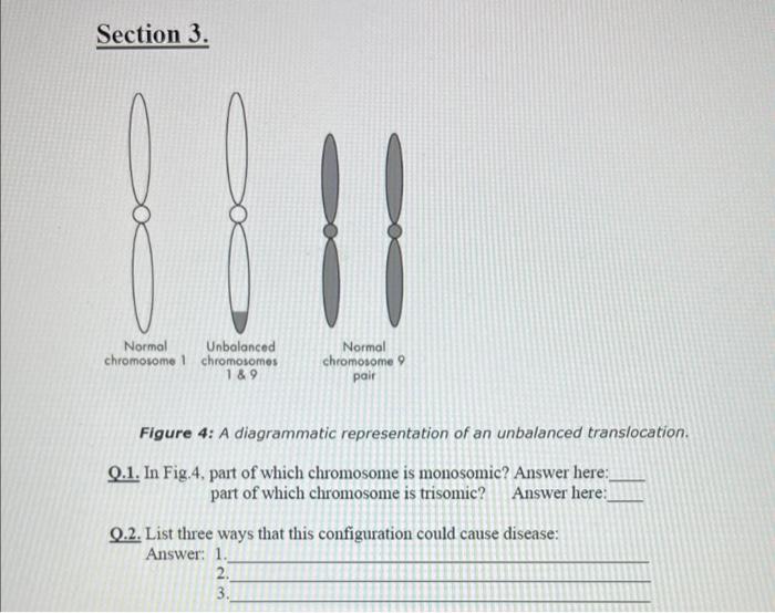 Solved Figure 1: Normal human male (46,XY ) karyotype. | Chegg.com