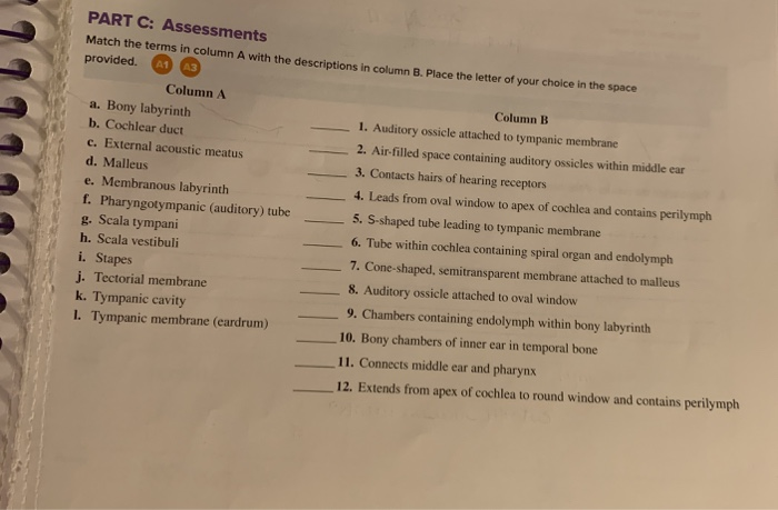 Solved match the terms in column A with the descriptions in | Chegg.com