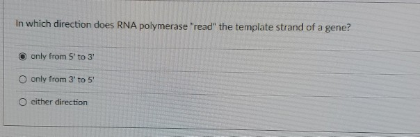 Solved in which direction does RNA polymerase "read" the | Chegg.com