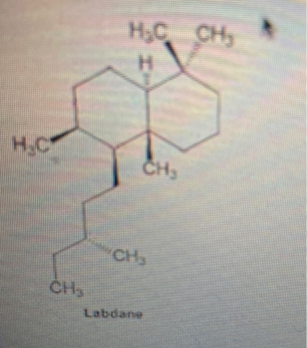 Solved labdane is a diterpenoid consisting of 4 isopropene | Chegg.com