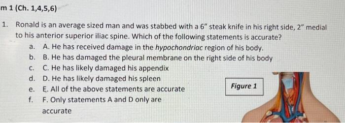 Solved 1. Ronald is an average sized man and was stabbed | Chegg.com