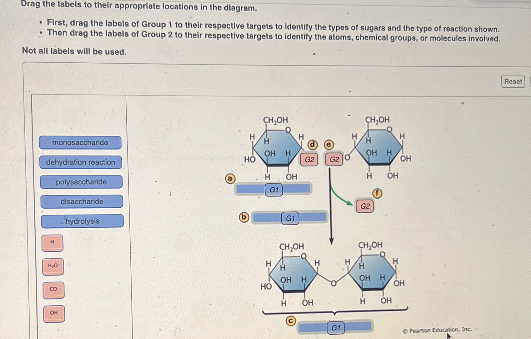 Solved Drag the labels to their appropriate locations in the | Chegg.com