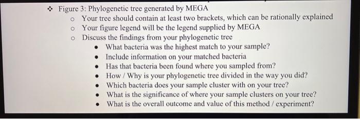 I need help analyzing this phylo tree. I got my | Chegg.com