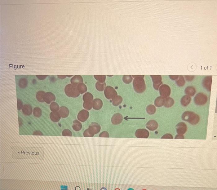 Solved FigurePart A - Identify the characteristics or | Chegg.com