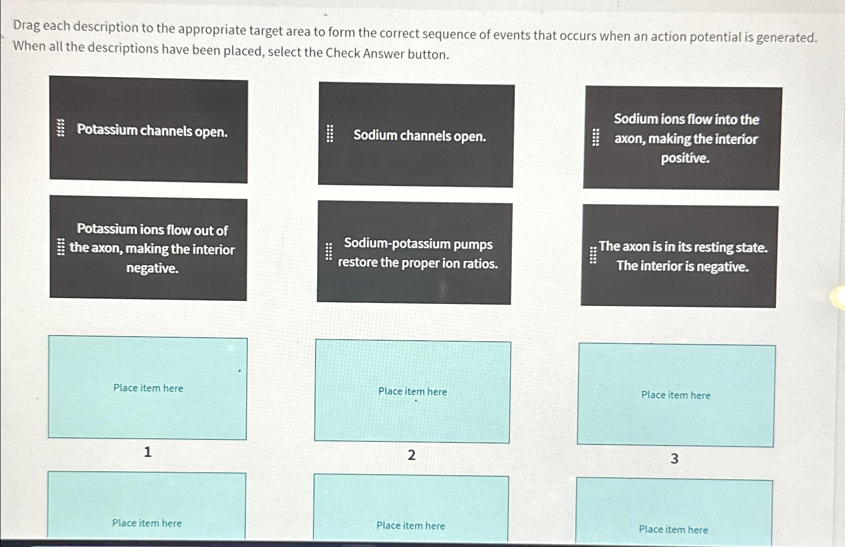 Solved Drag each description to the appropriate target area | Chegg.com