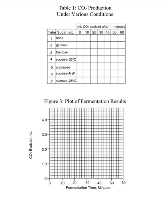 Solved Calculations. Calculate fermentation rate (UL CO2 | Chegg.com
