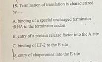 Solved Termination of translation is chanacterined. byA. | Chegg.com