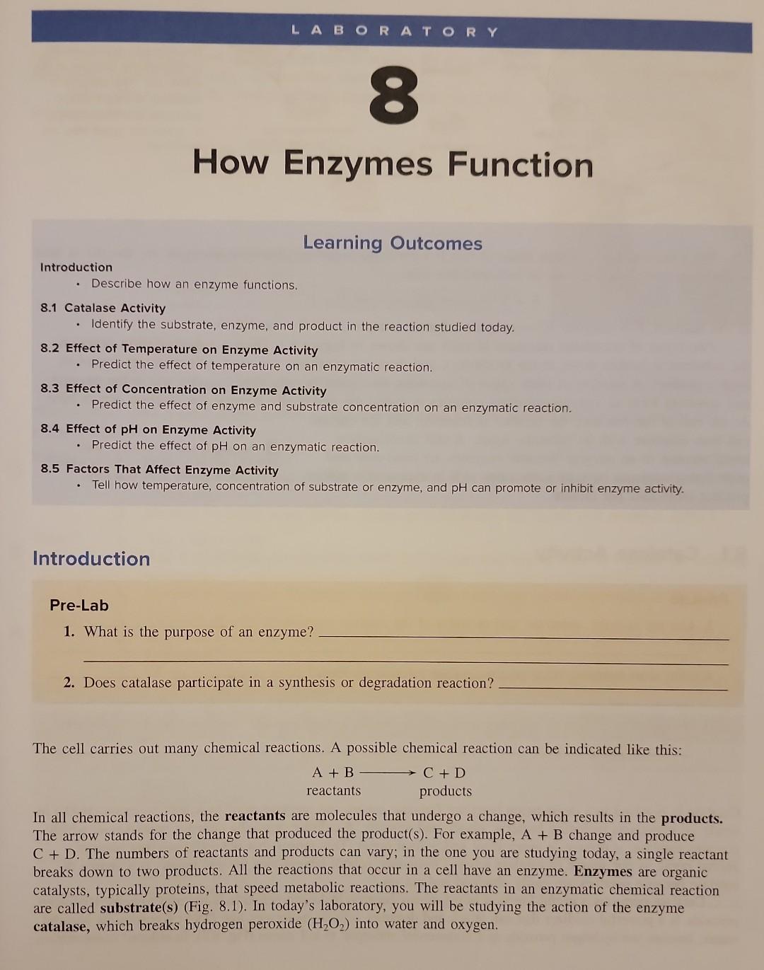 Solved How Enzymes Function Learning Outcomes Introduction - | Chegg.com