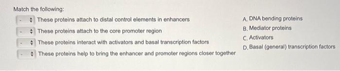 Solved Match the following: These proteins attach to distal | Chegg.com