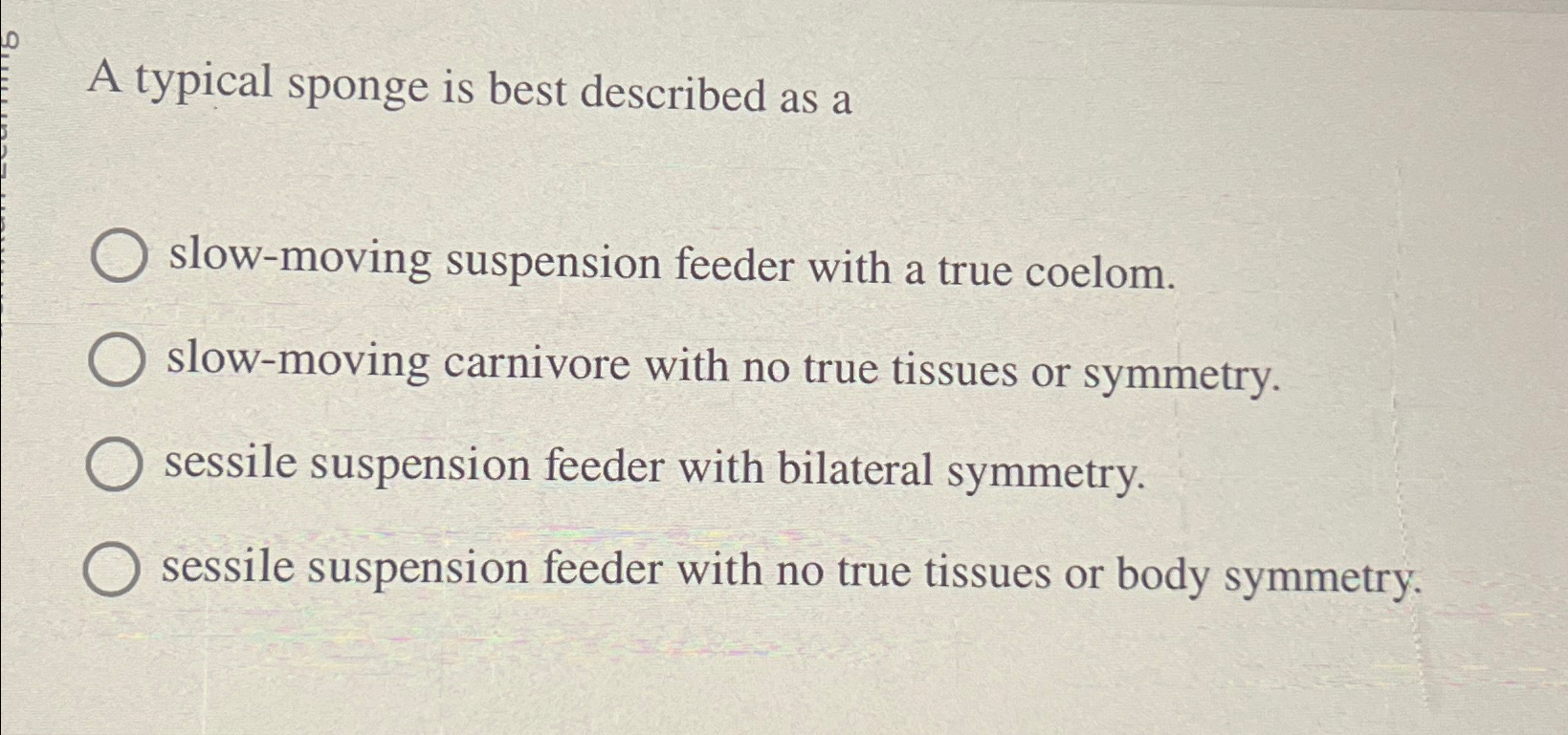 Solved A typical sponge is best described as aslow-moving | Chegg.com