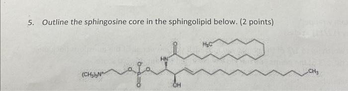 Solved 5. Outline the sphingosine core in the sphingolipid | Chegg.com