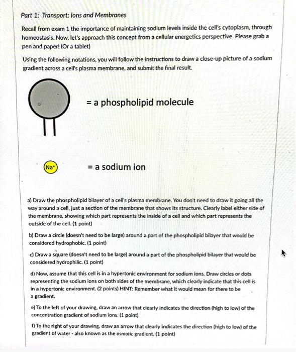 Solved Part 1: Transport: lons and Membranes Recall from | Chegg.com