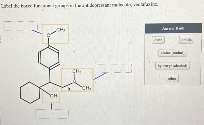 Solved Label the boxed functional groups in the | Chegg.com