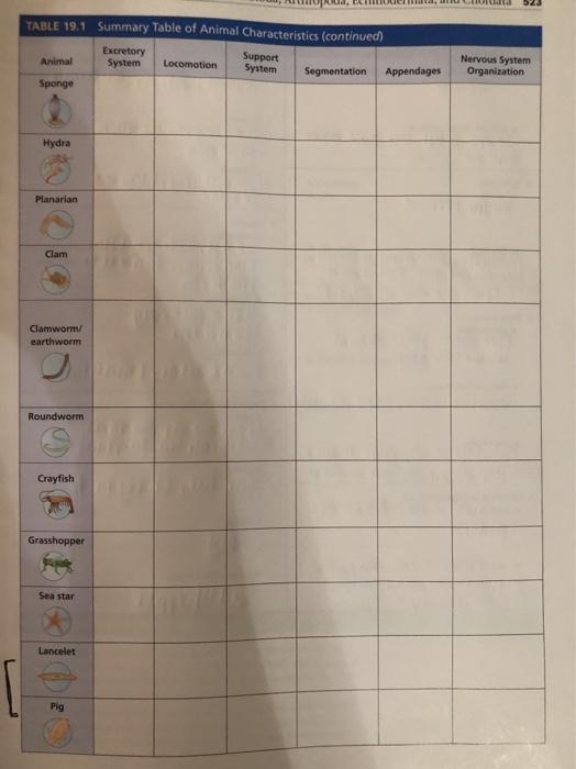 Solved TABLE 19.1 Summary Table of Animal Characteristics | Chegg.com