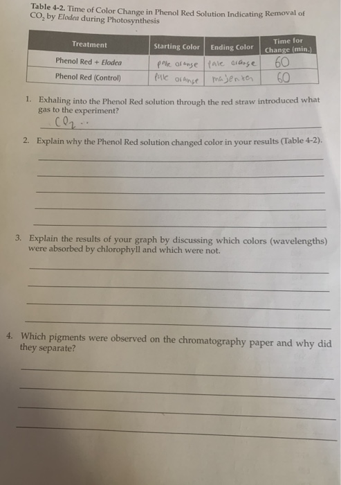 Solved Table 4-2. Time of Color Change in Phenol Red | Chegg.com