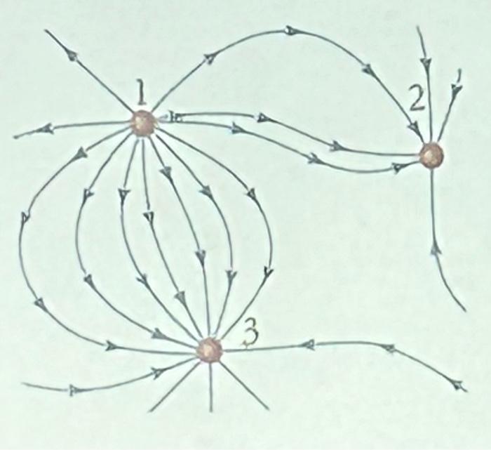 Solved The electric field lines are represented by blue | Chegg.com