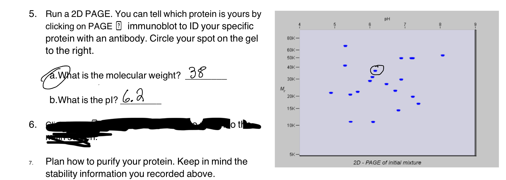 Solved SEPARATION METHODSAmmonium sulfate fractionationHeat | Chegg.com