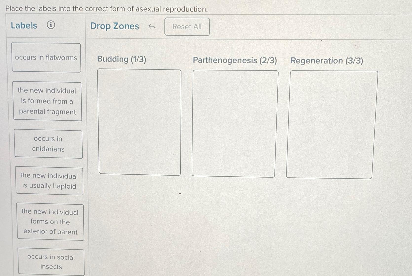 Solved Place the labels into the correct form of asexual | Chegg.com