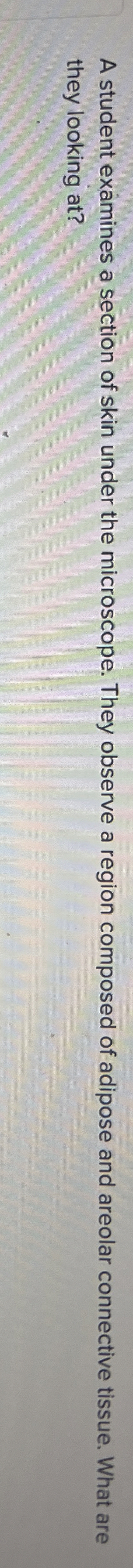 Solved As a student examines a section oA student examines a | Chegg.com