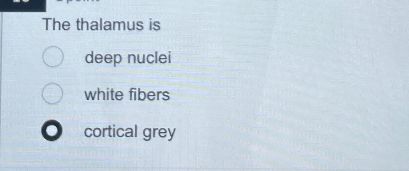 Solved The thalamus isdeep nucleiwhite fiberscortical grey | Chegg.com