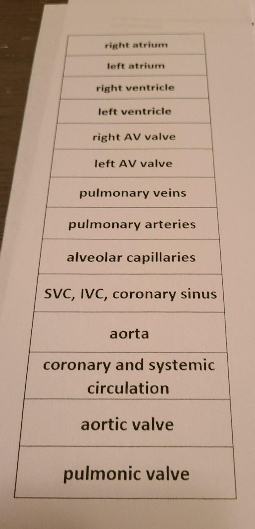 Solved 2. On this page, sort and glue the terms in the | Chegg.com