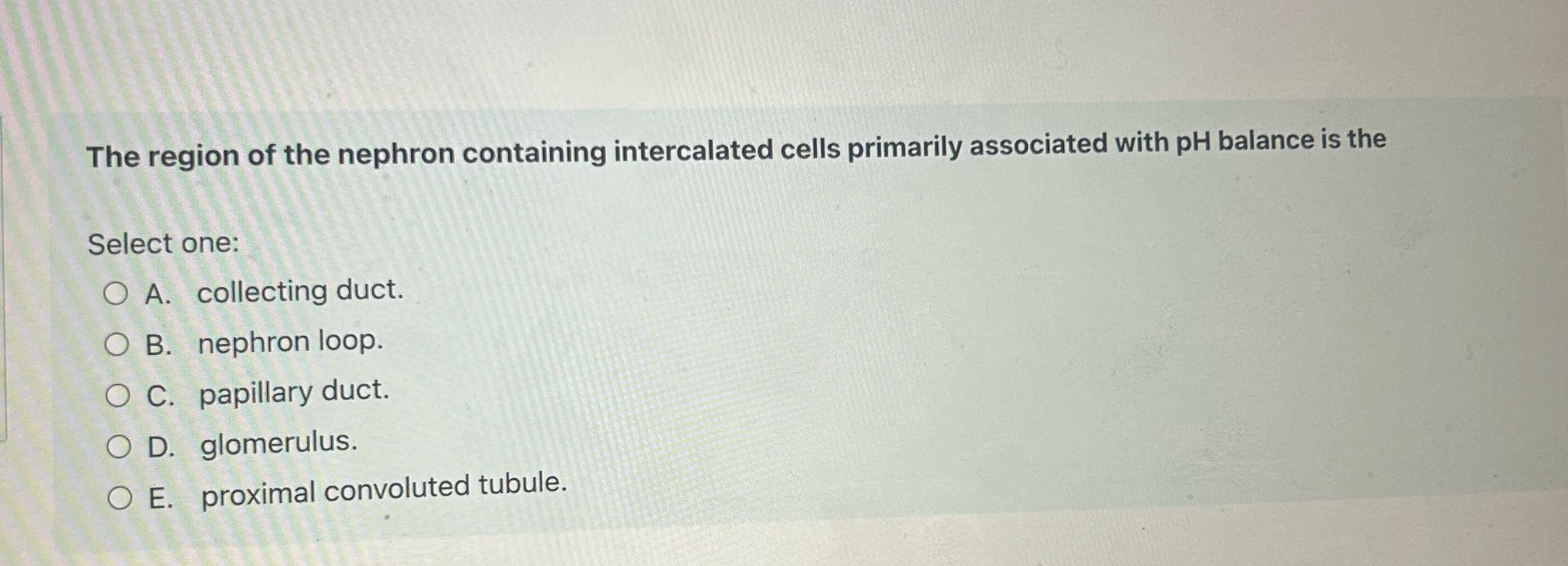 Solved The region of the nephron containing intercalated | Chegg.com