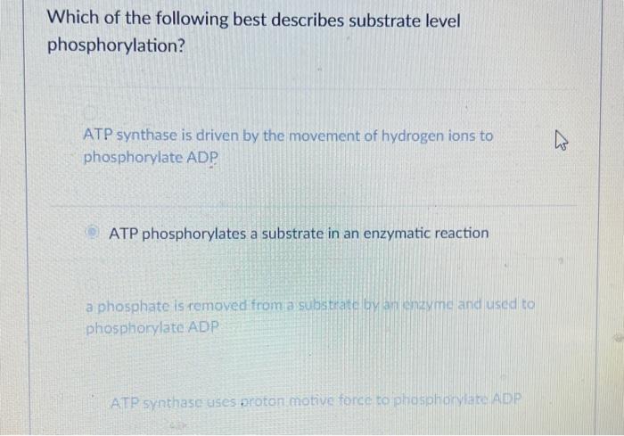 Solved Which of the following best describes substrate level | Chegg.com