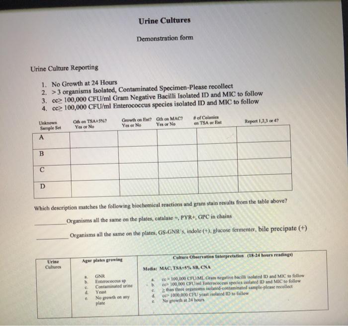 Solved Urine Cultures Demonstration form Urine Culture | Chegg.com