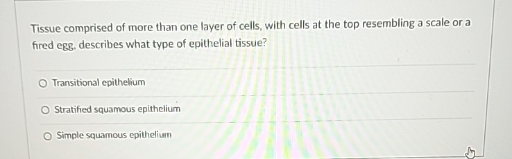 Solved Tissue comprised of more than one layer of cells, | Chegg.com