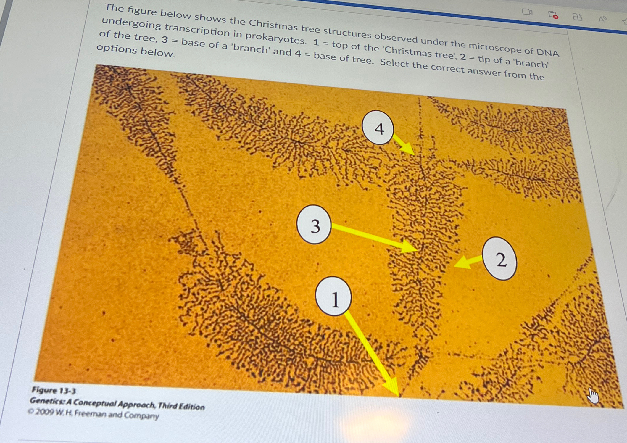 Solved The figure below shows the Christmas tree structures | Chegg.com