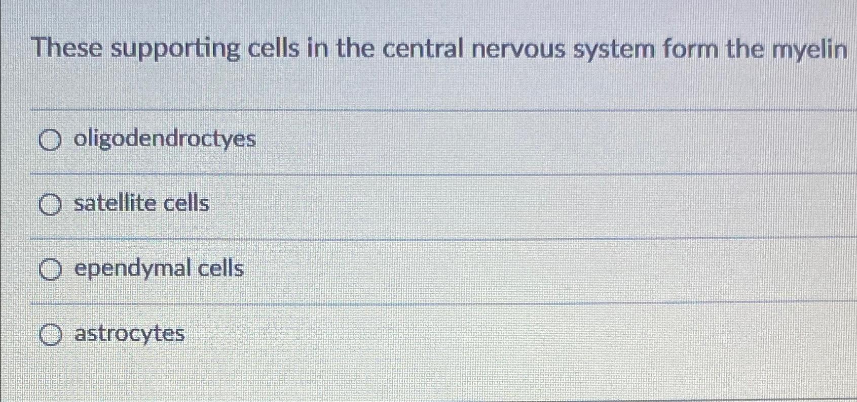 Solved These supporting cells in the central nervous system | Chegg.com