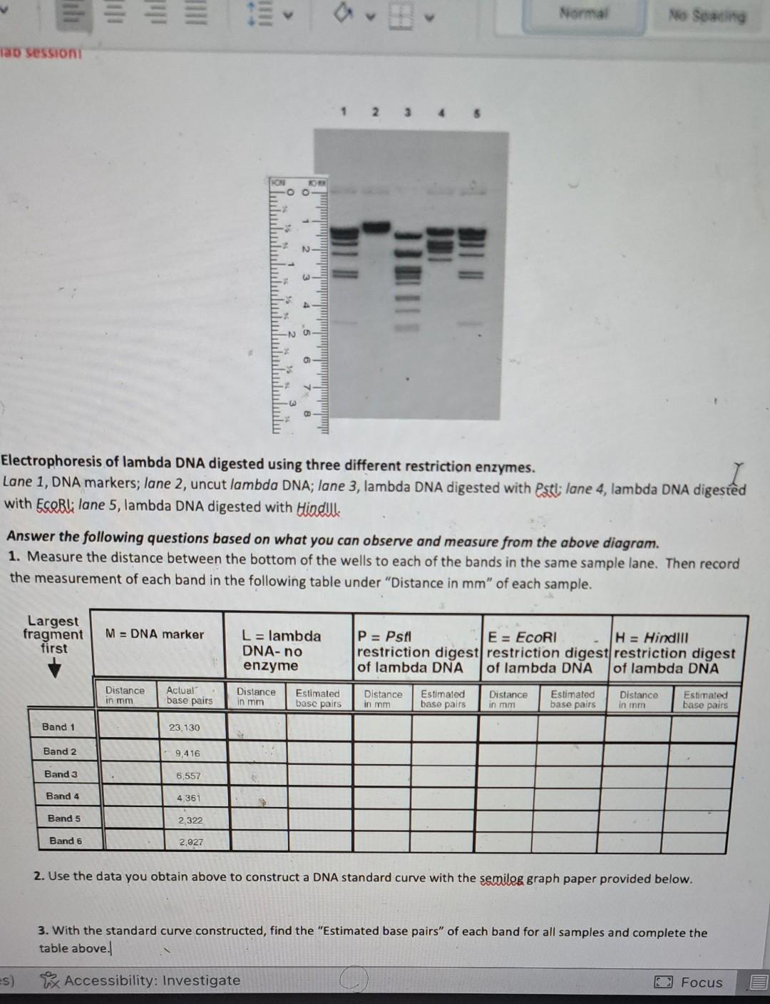 Solved Electrophoresis of lambda DNA digested using three | Chegg.com
