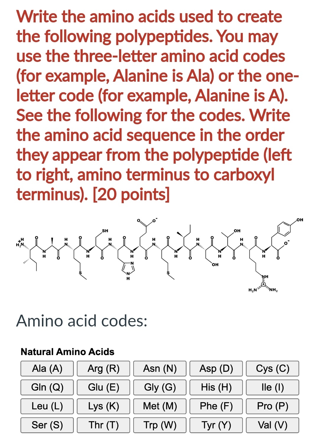 Solved Write the amino acids used to create the following | Chegg.com