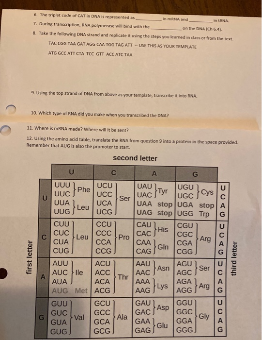 Solved 6. The triplet code of CAT in DNA is represented as | Chegg.com