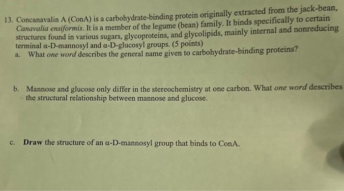 Solved 13. Concanavalin A( ConA A) is a carbohydrate-binding | Chegg.com