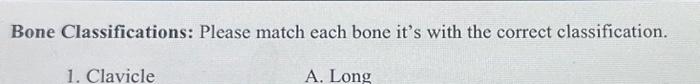 Solved Bone Classifications: Please match each bone it's | Chegg.com