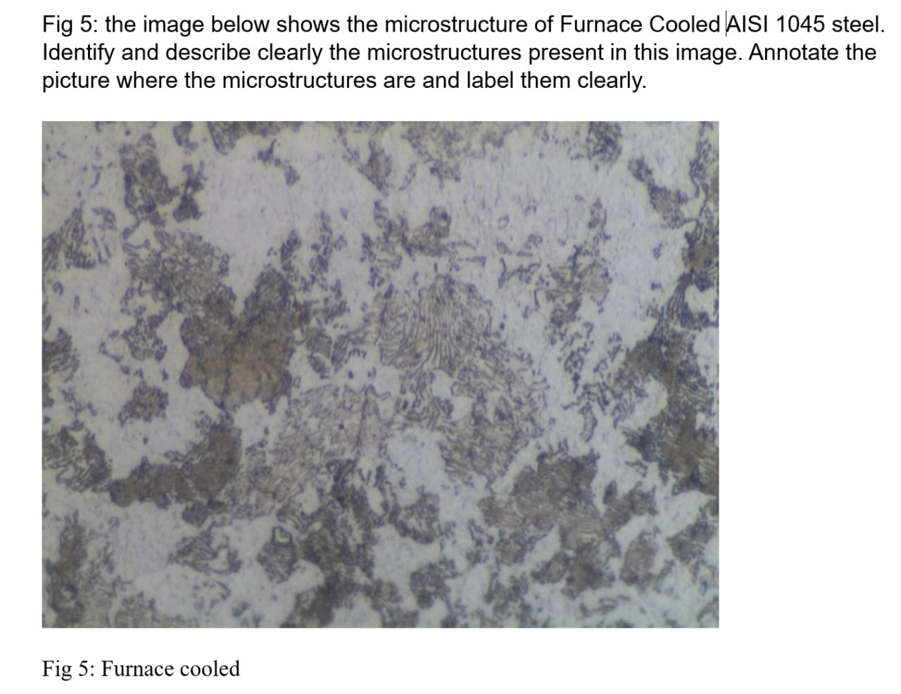 Solved Fig 5: the image below shows the microstructure of | Chegg.com