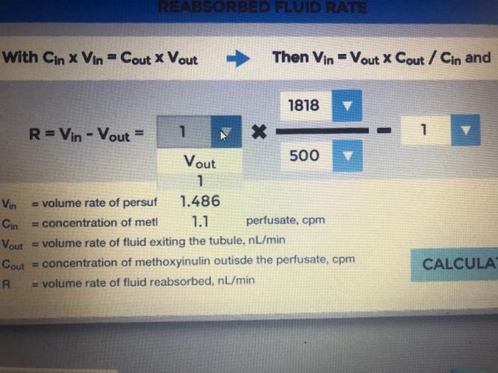 Solved REABSORBED FLUID RATE With Cin X Vin = Cout X Vout | Chegg.com