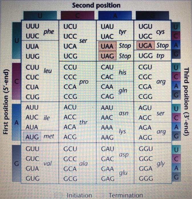 Solved use the genetic coding table in the code dictionary | Chegg.com