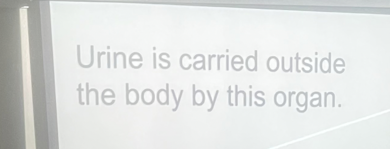 Solved Urine is carried outside the body by this organ. | Chegg.com