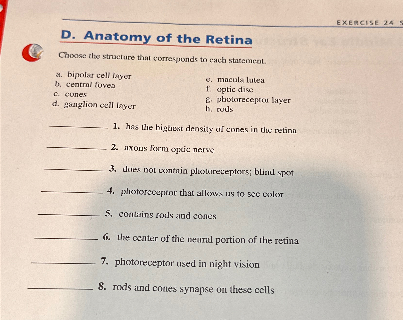 Solved EXERCISE 24D. ﻿Anatomy of the RetinaChoose the | Chegg.com