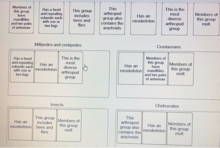 Solved Classify each statement into the correct arthropod | Chegg.com