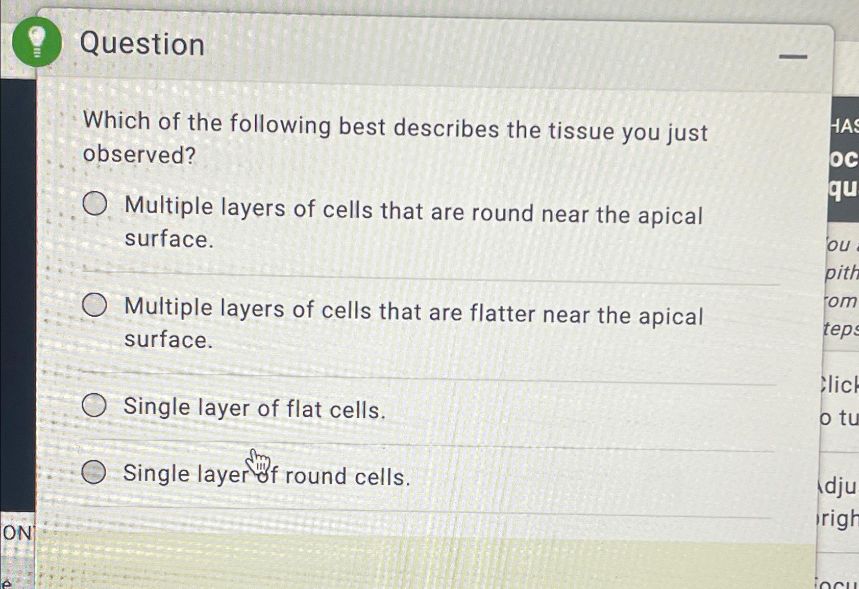 Solved QuestionWhich of the following best describes the | Chegg.com