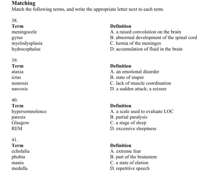 Solved Matching Match the following terms, and write the | Chegg.com