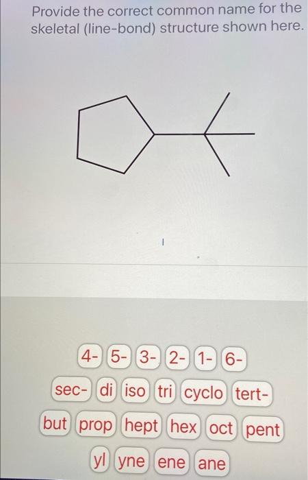 Solved Provide the correct common name for the skeletal | Chegg.com