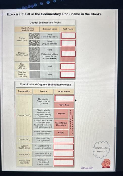 Solved Exercise 3: Fill in the Sedimentary Rock name in the | Chegg.com