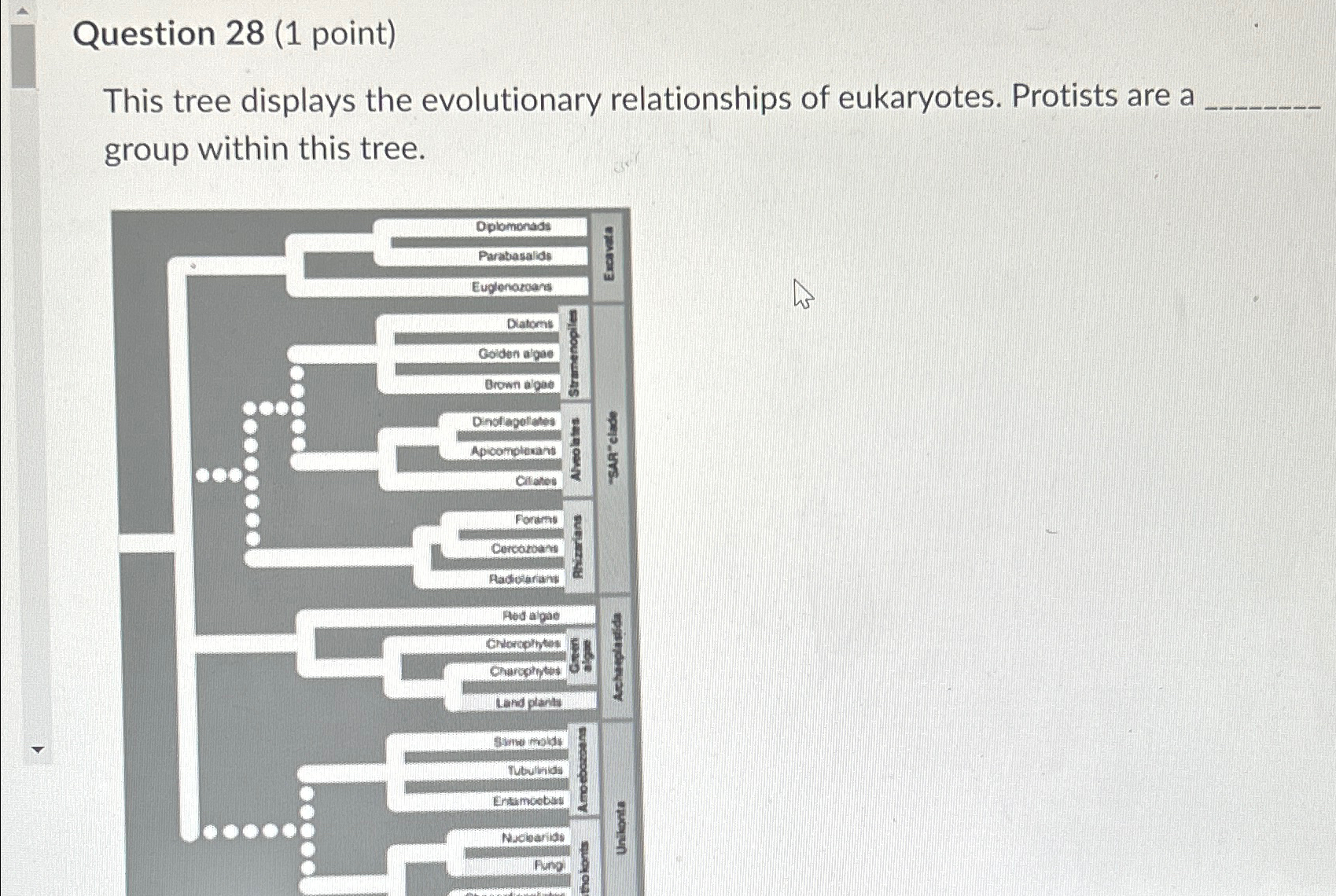 Solved Question 28 (1 ﻿point)This tree displays the | Chegg.com