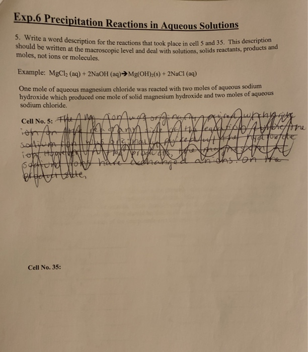 Solved need help with precipitation lab!here is the table | Chegg.com