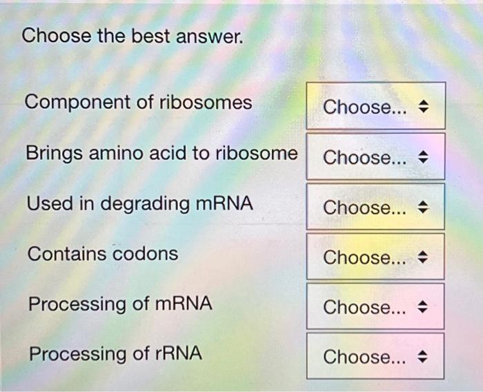 Solved Choose the best answer. Component of ribosomes Brings | Chegg.com